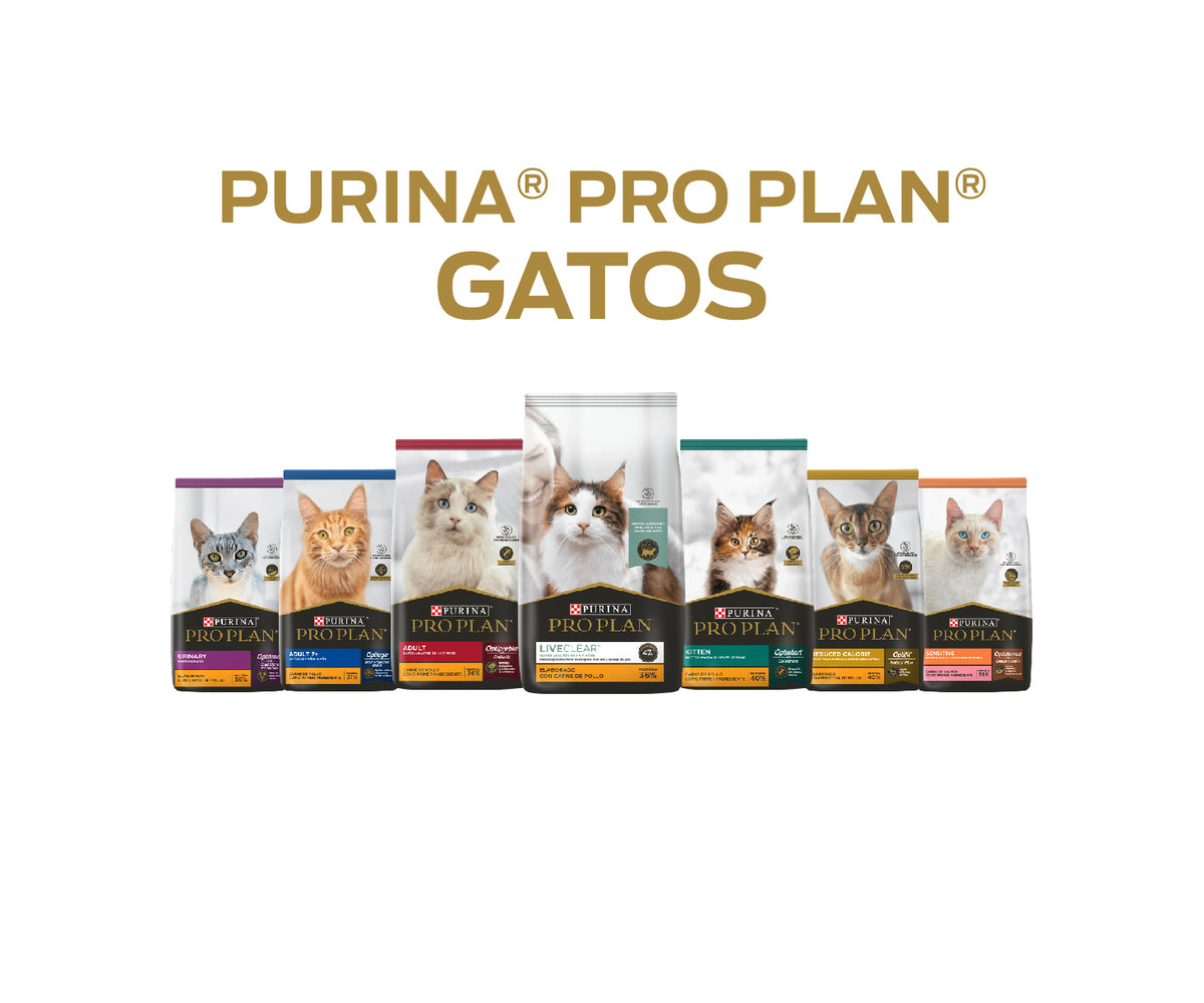 Pro Plan® Gatos – Vet Direct
