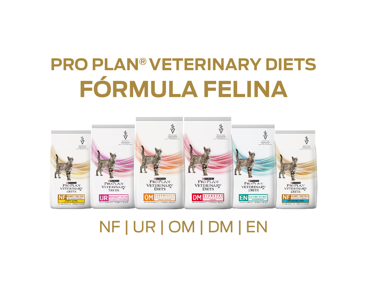 Dieta Veterinaria para Gatos – Vet Direct